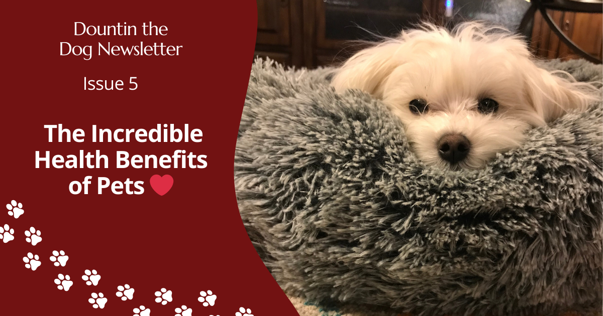 The Incredible Health Benefits of Pets 🐾