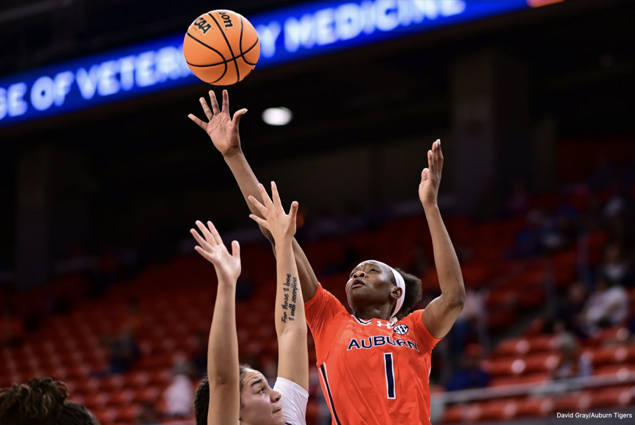 Bodda Getta Daily Brew 11/8: Time to Slay Some Dragons