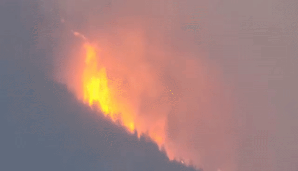 On the fire frontlines