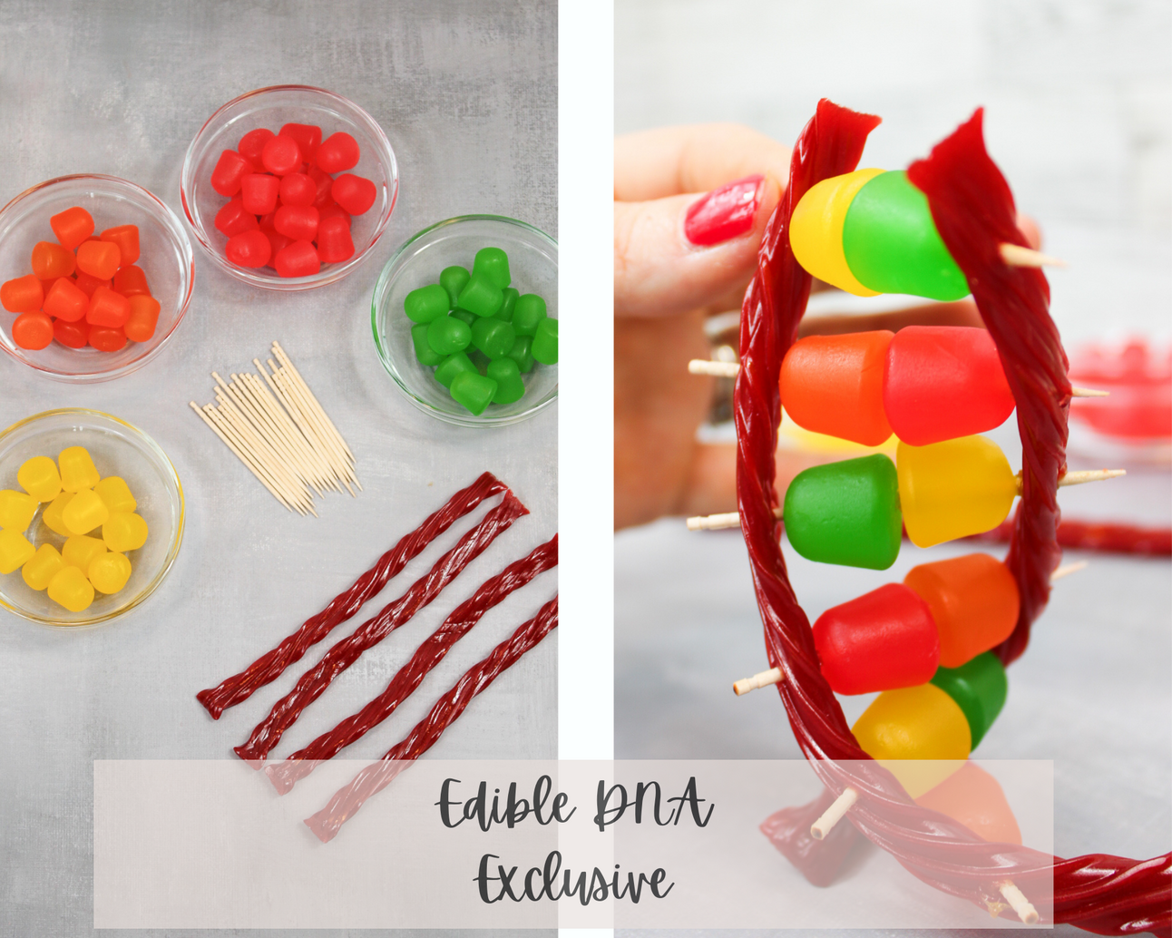 Edible DNA {Exclusive} SOLD