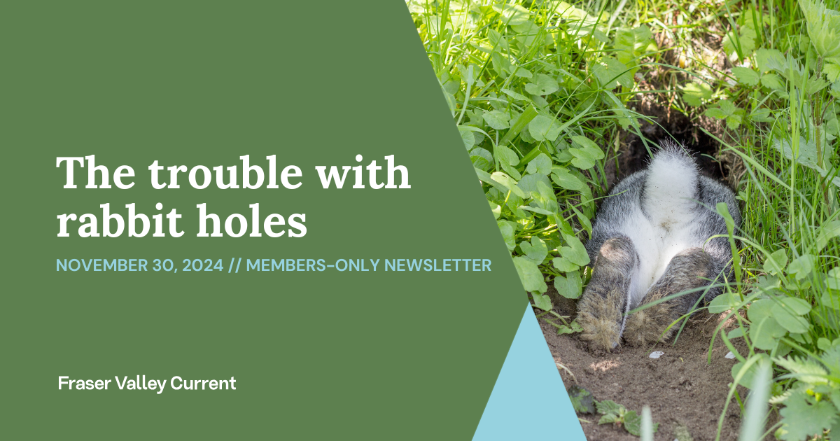 FVC Weekend Edition—The trouble with rabbit holes