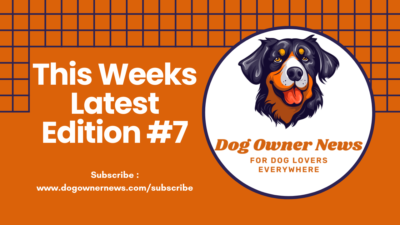 This Weeks Edition Of Dog Owner News