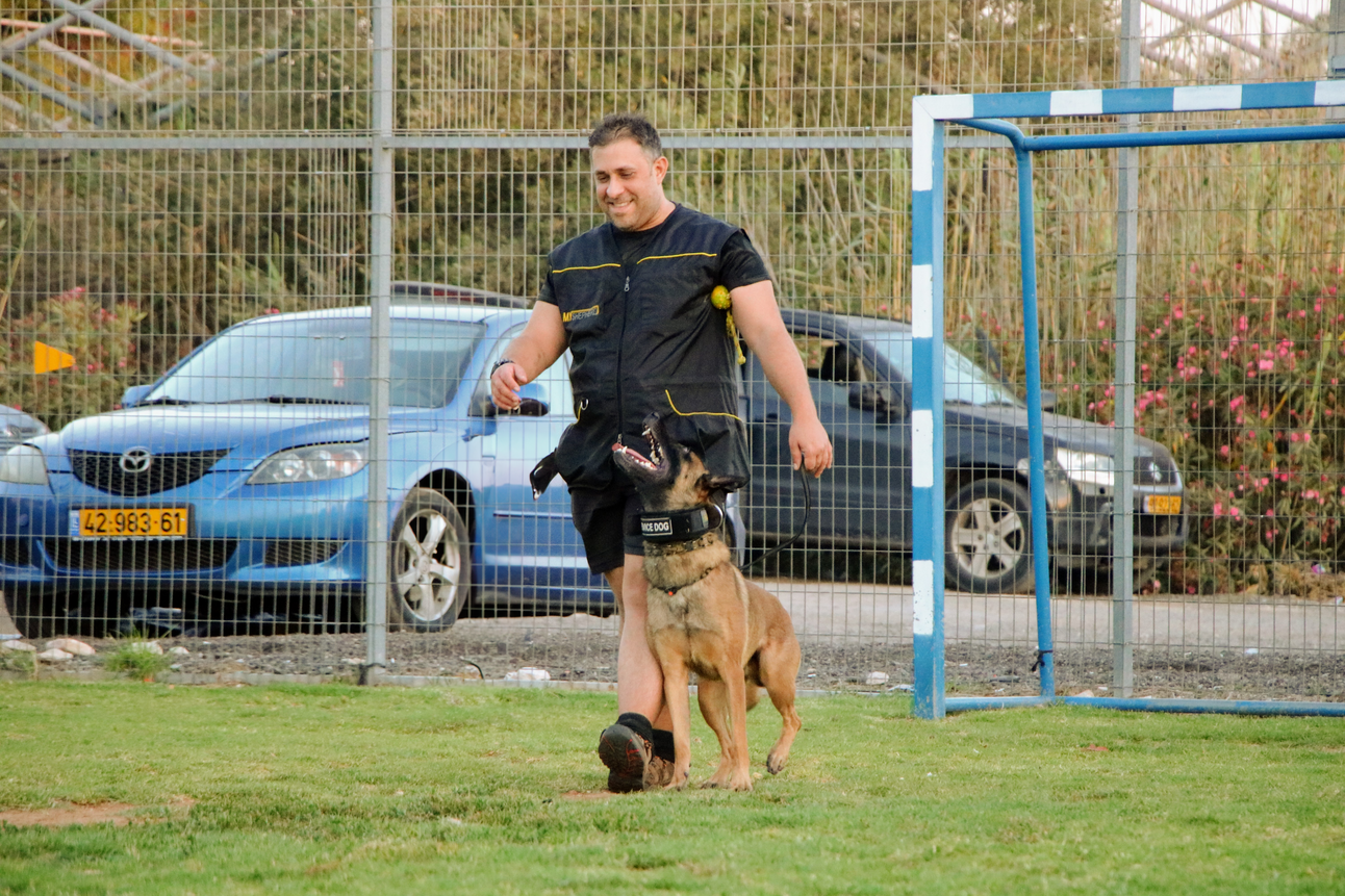 Working Dogs Meet AI