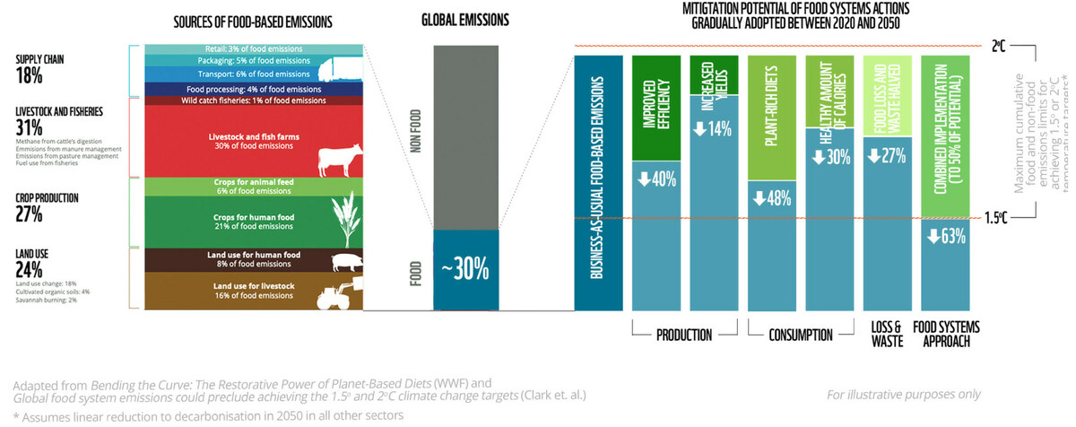Putting food on the COP27 menu – part 1