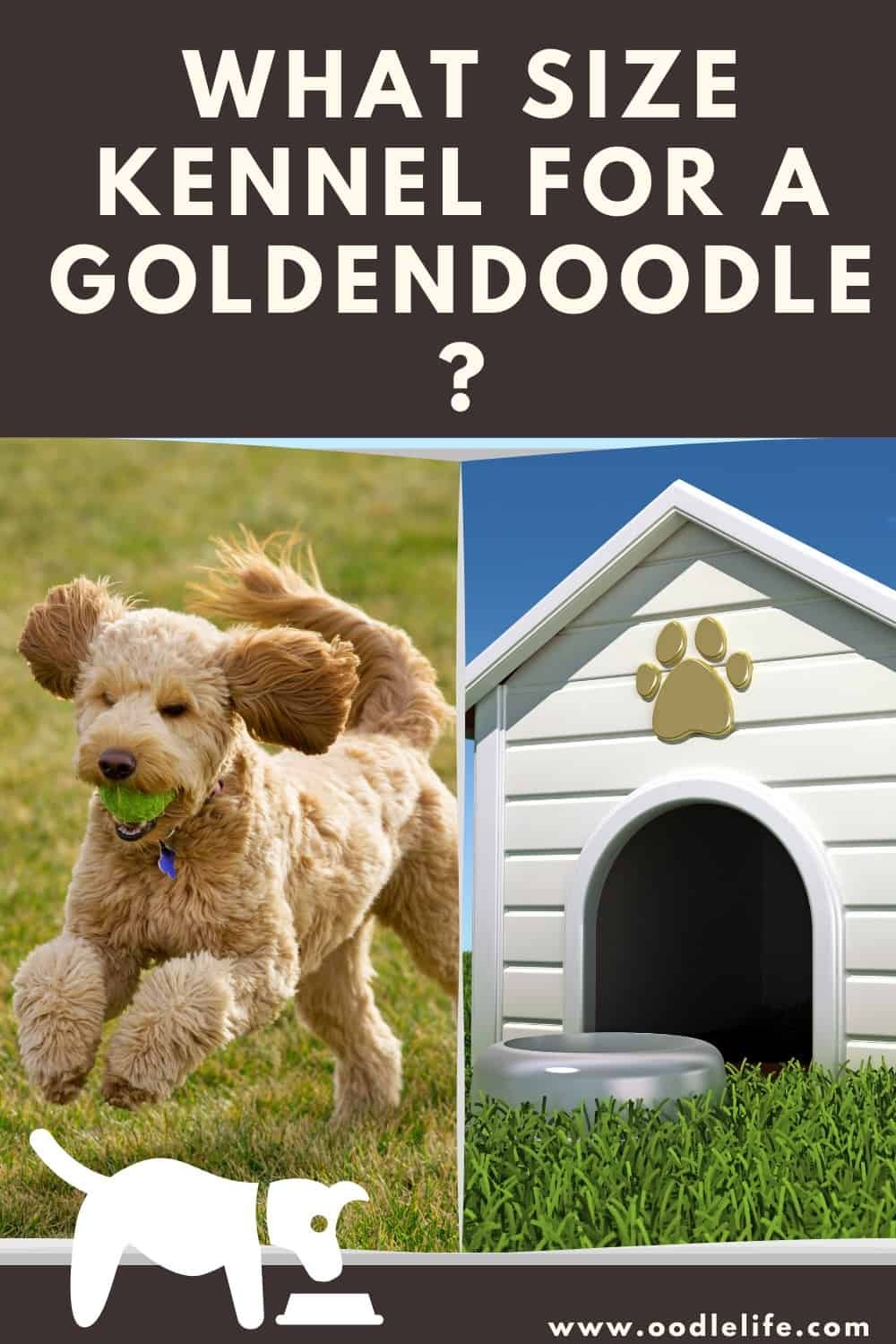 What Size Kennel for a Goldendoodle? (and 3 best)