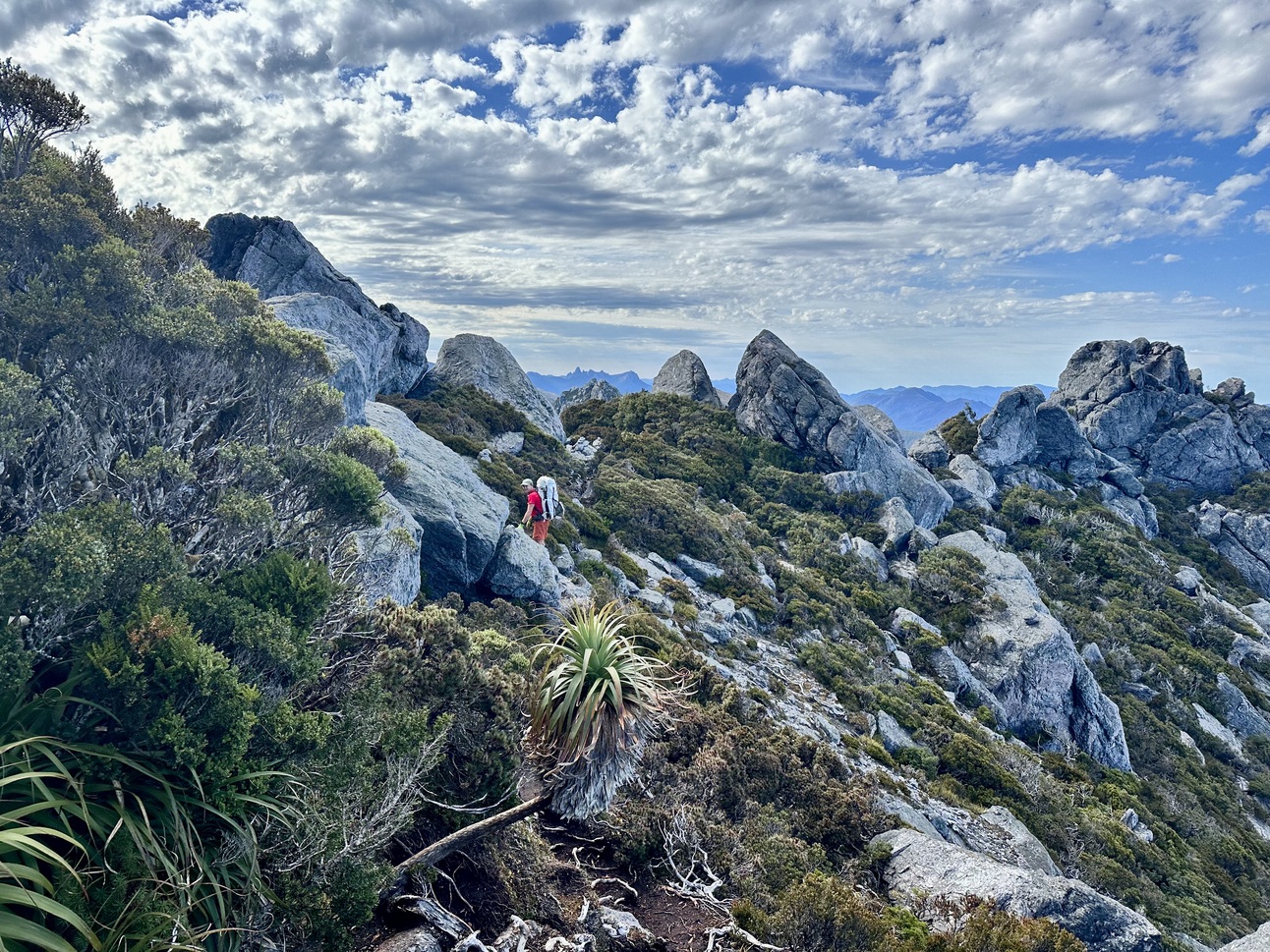 The Western Arthur Range 2023