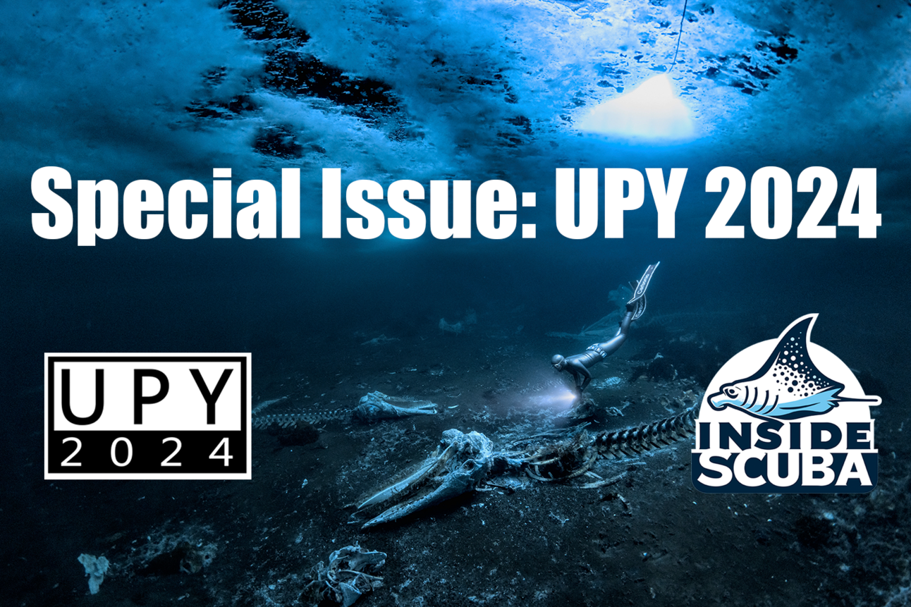 Special Edition: Underwater Photographer of the Year 2024 Winners