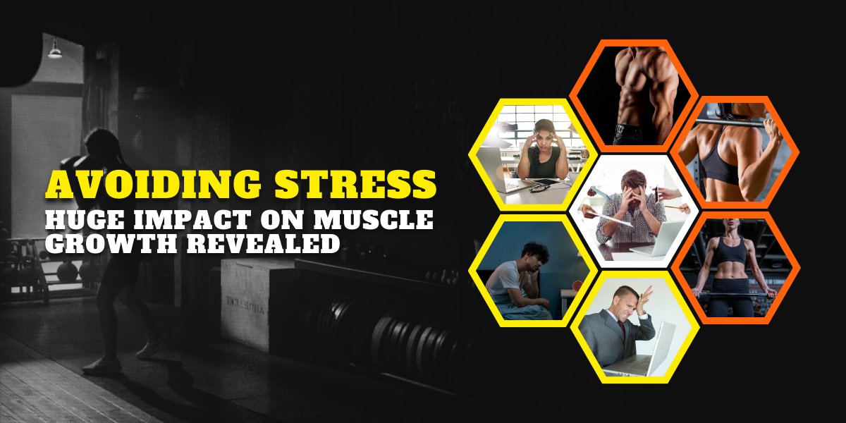 How Stress Affects Muscle Growth: What You Need to Know