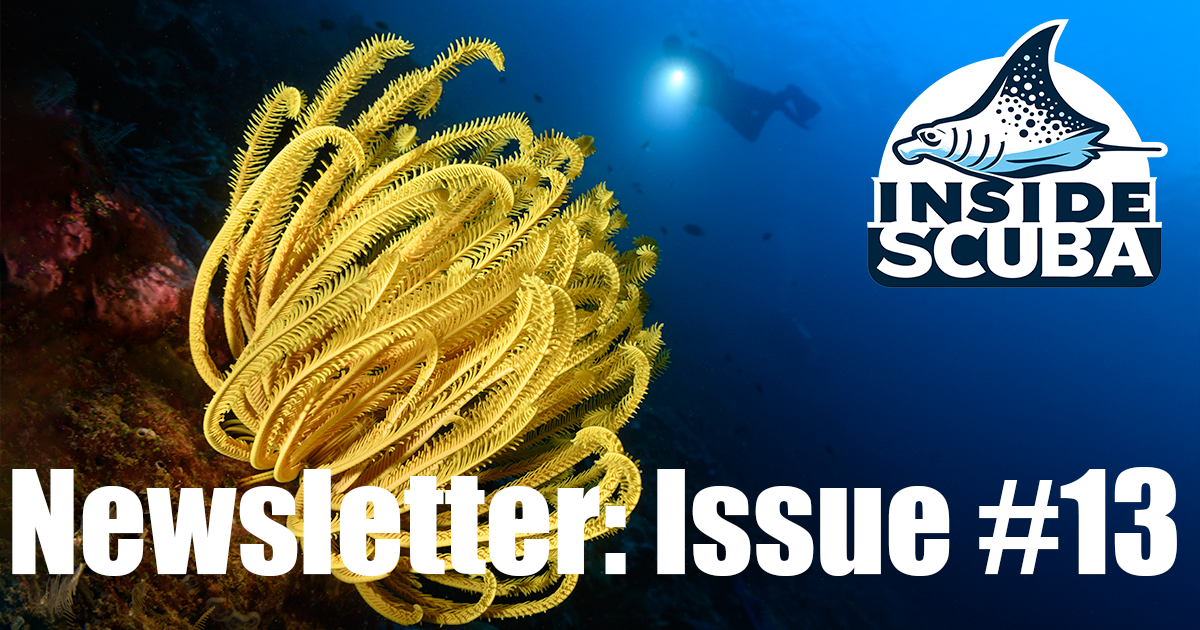 Inside Scuba Issue #13