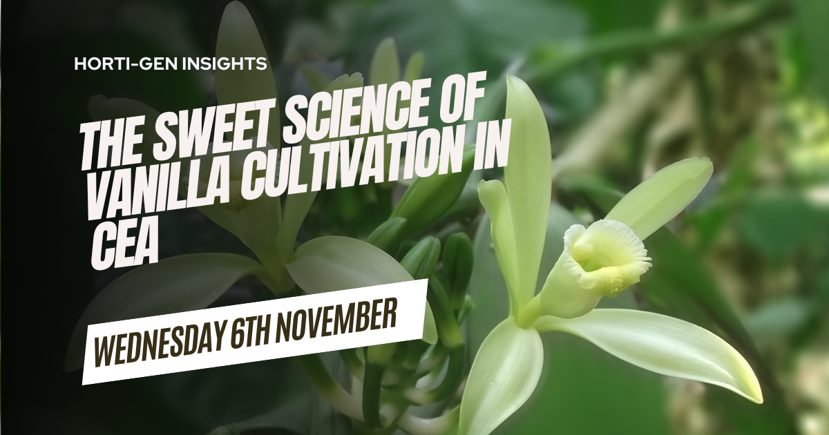 The Sweet Science of Vanilla Cultivation