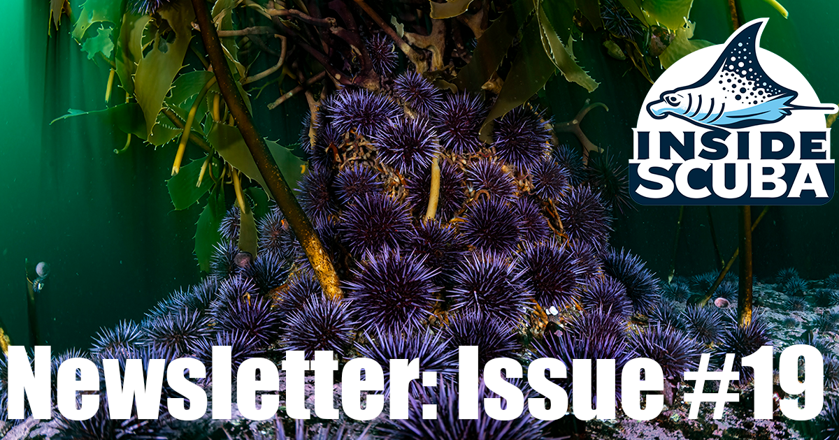 Inside Scuba Issue #19