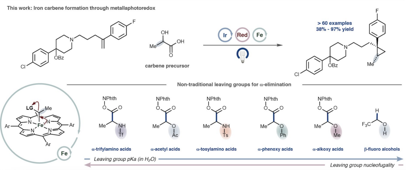 Amino Acids as Carbene Precursors