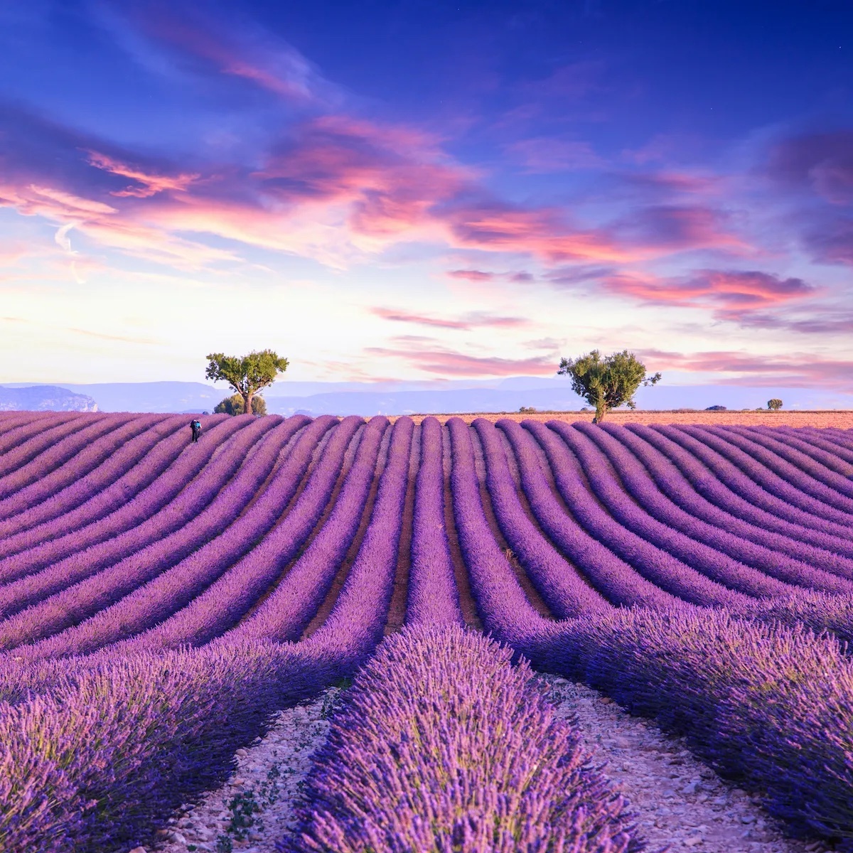 Beautiful French Countryside and Coastal Portugal