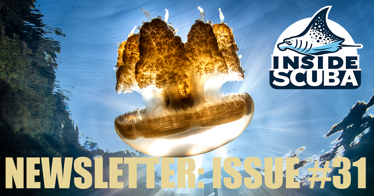 Inside Scuba Issue #31