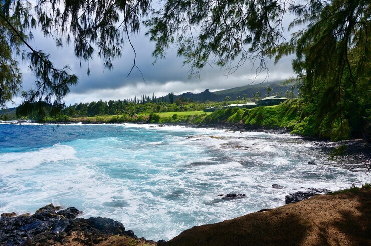 Explore Maui in 2024: An Engaging Travel Itinerary for Every Adventurer