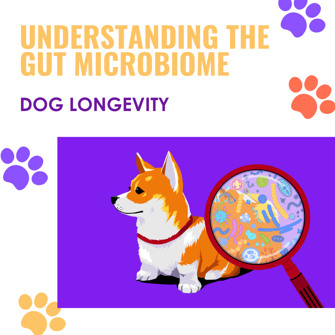 Understanding The Gut Microbiome