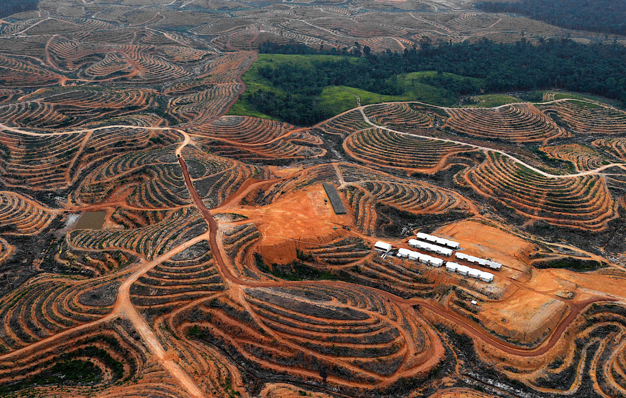 🌄 [#23] Land Use: Restoring Our Earth's Worth