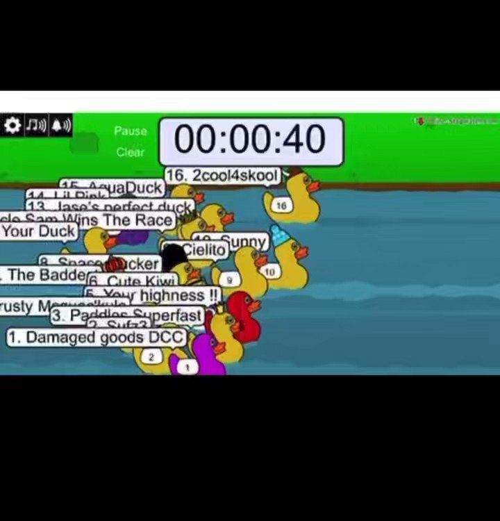 TNT #23 - Duck Race Finals + Latest Updates