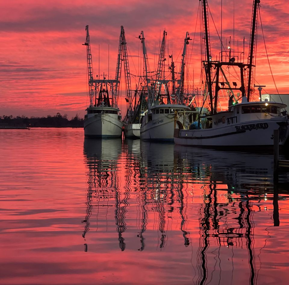 September 2022 Pamlico Pix: Deborah Jaeger, Heather Cobham Brewer and ...
