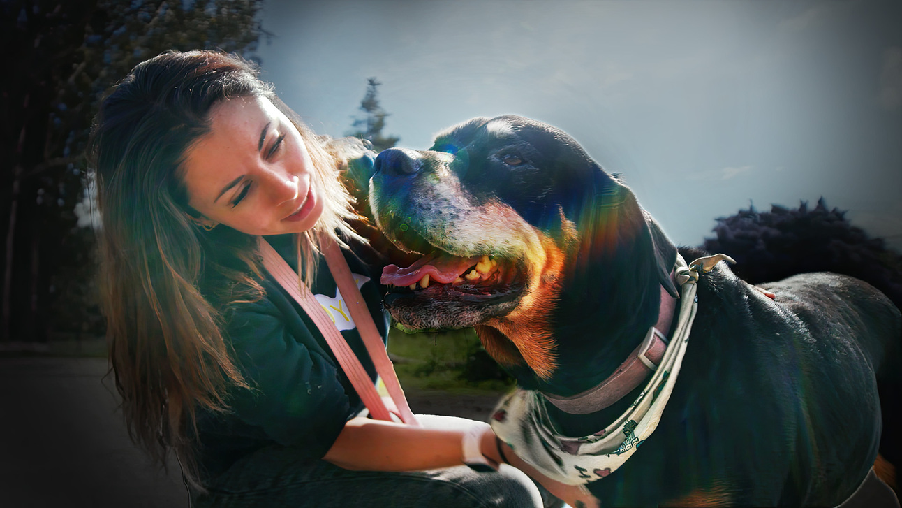 The Secret to Longevity Lies in Dogs