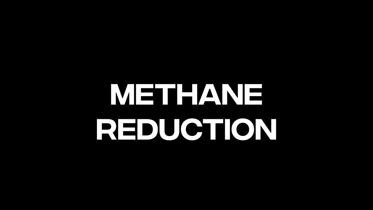 All Gas, No Methane