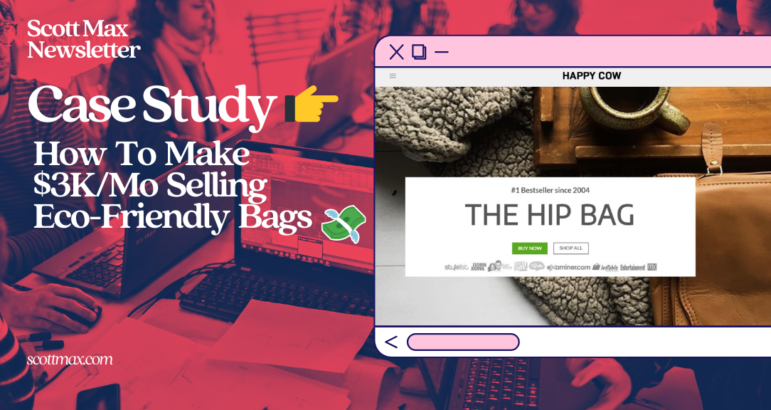 Case Study: How To Make $3K/Mo Selling Eco-Friendly Bags