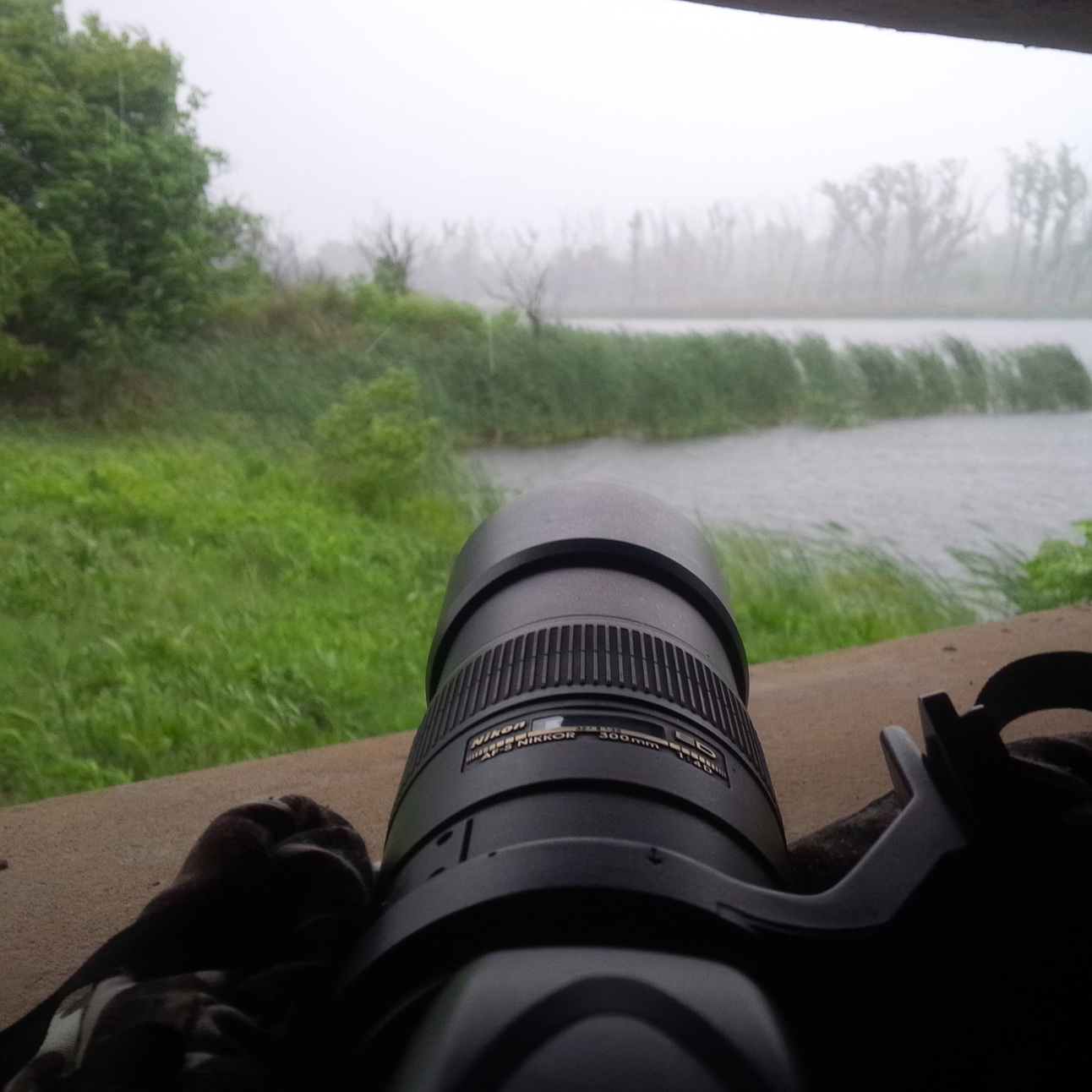 9 Requirements Toward Becoming an Accomplished Bird Photographer