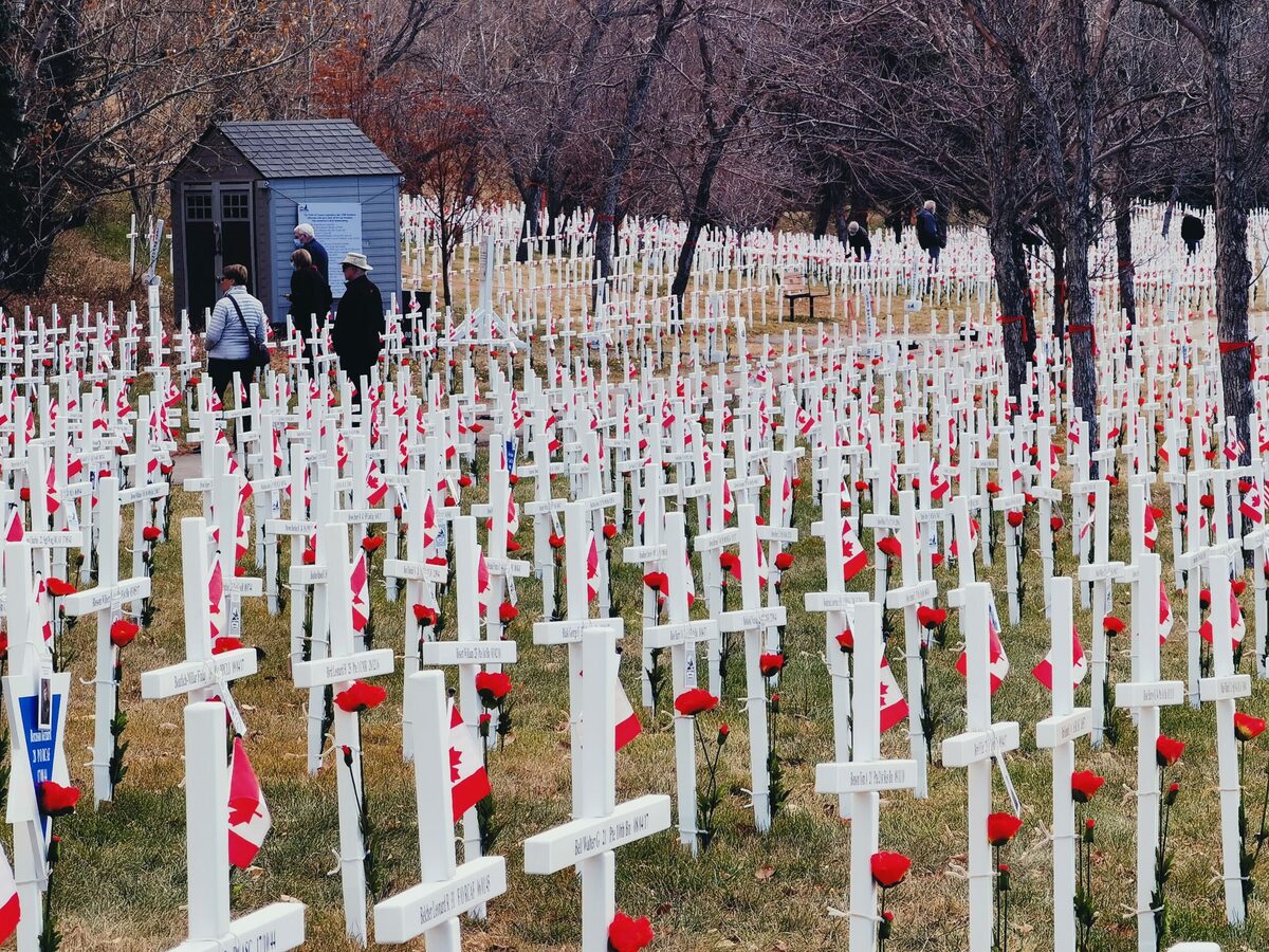 A guide to Remembrance Day: Virtual and in-person ceremonies happening ...