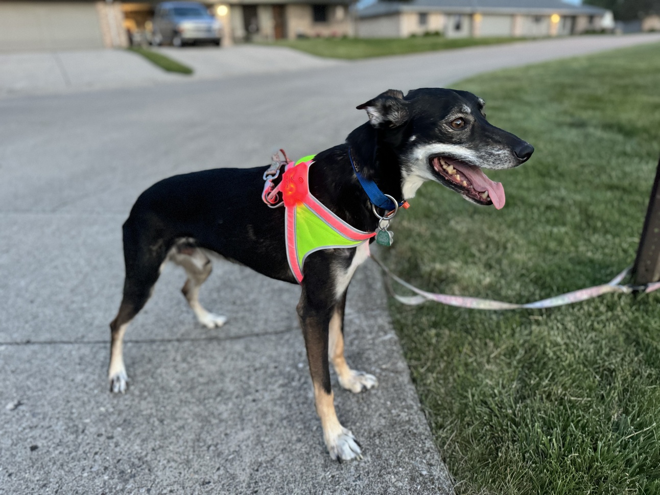 The next magazine cover models??