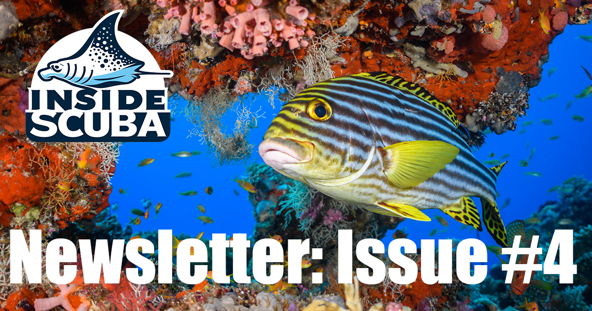 Inside Scuba Issue #4