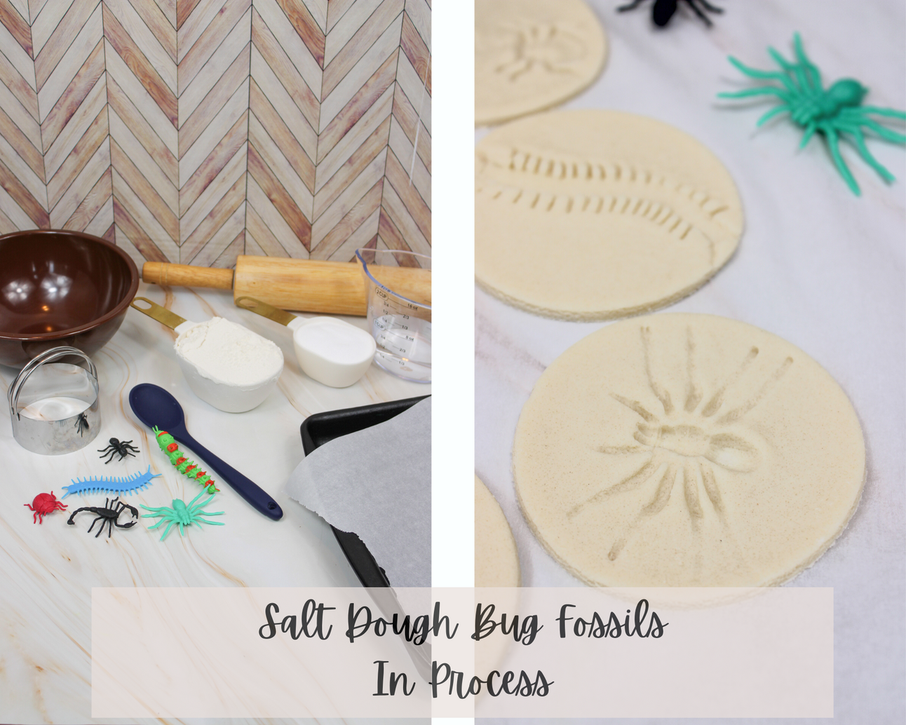 Salt Dough Bug Fossils {Semi-Exclusive} SOLD OUT