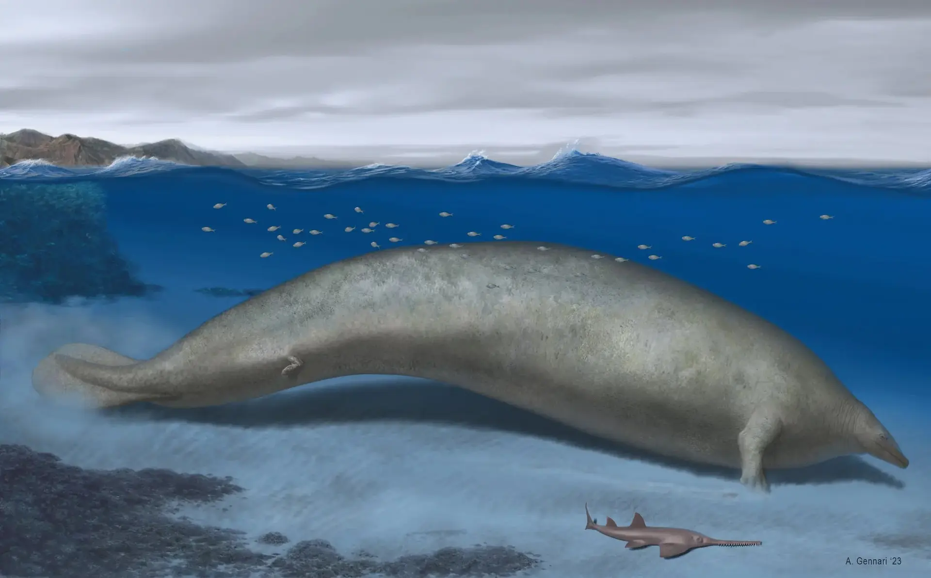 Meet Perucetus Colossus, the Giant Extinct Whale That Was the Heaviest ...