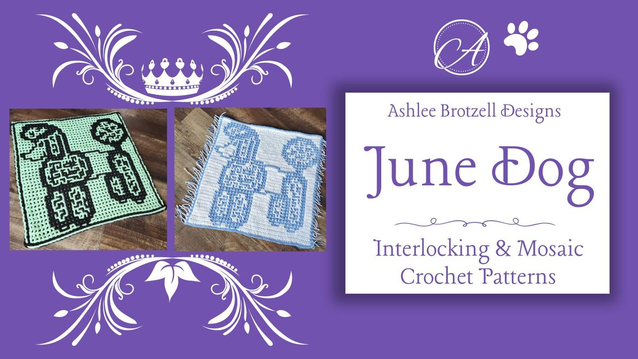 June Dog, favorites, seahorse, garden, & more!