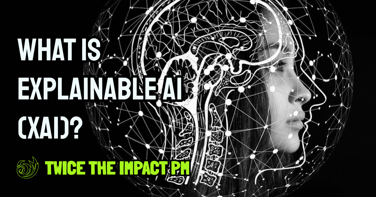 What is Explainable AI (XAI)?