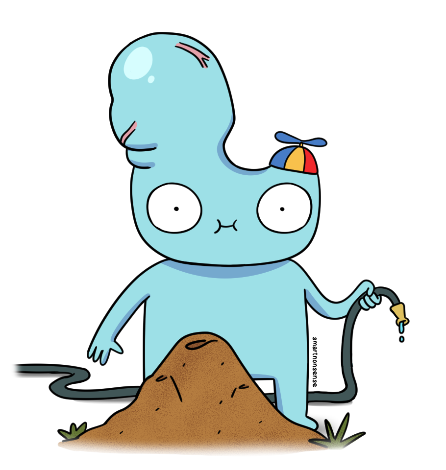 What’s Inside an Anthill? 🐜