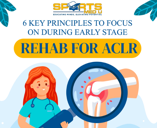 Optimising ACL Rehabilitation: The 6 key areas of focus 🦵🌟