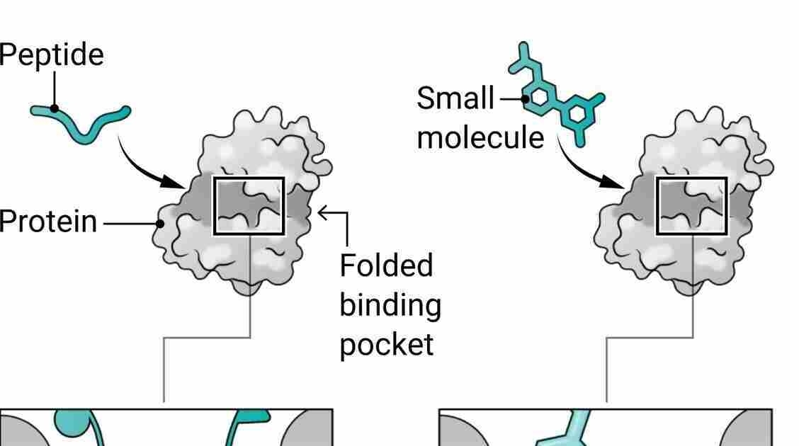 AI-Designed Protein Targeting: Taming Disordered Protein Chaos!