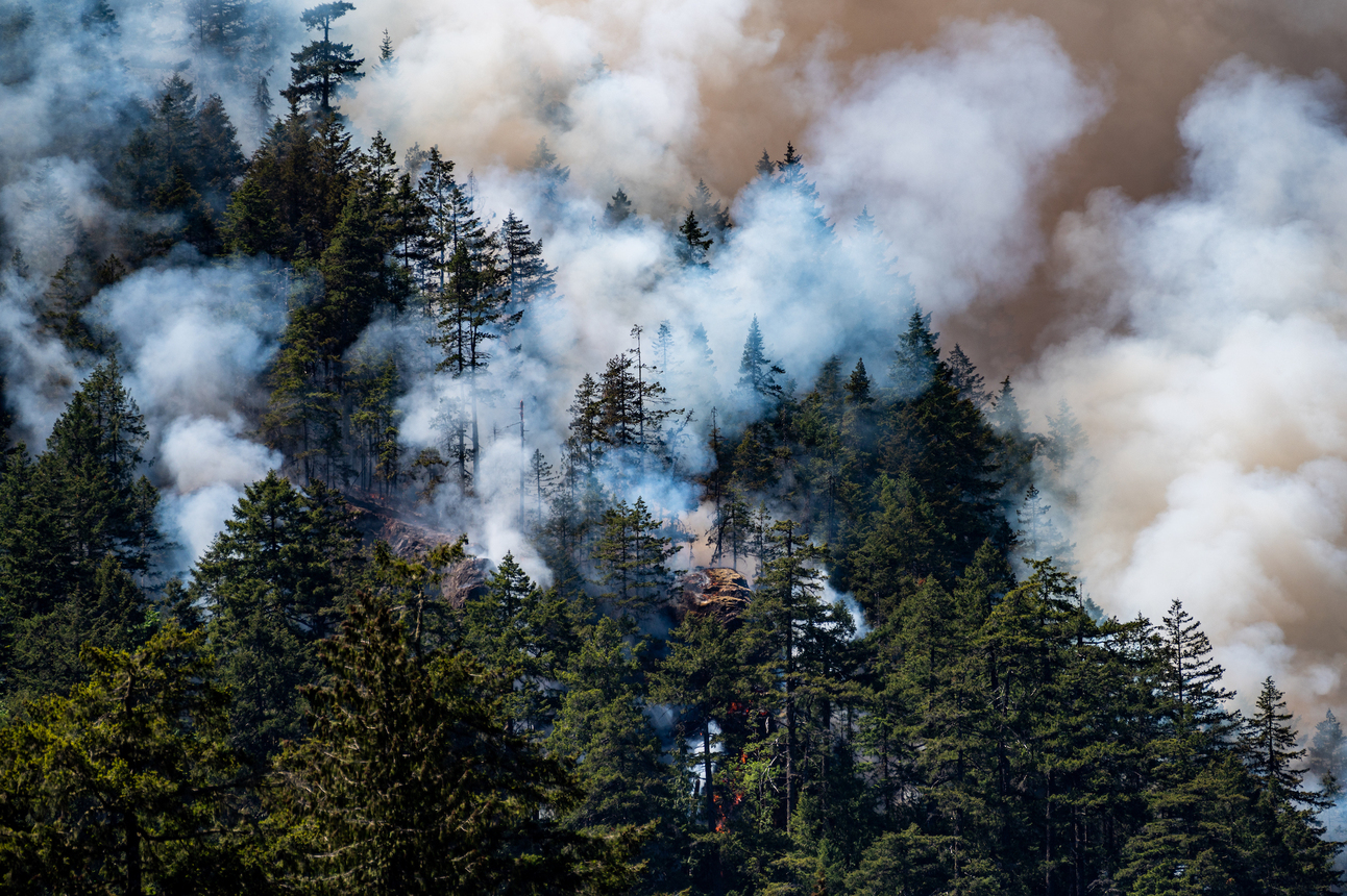 Aug 30 - Wildfires make Canada a carbon culprit