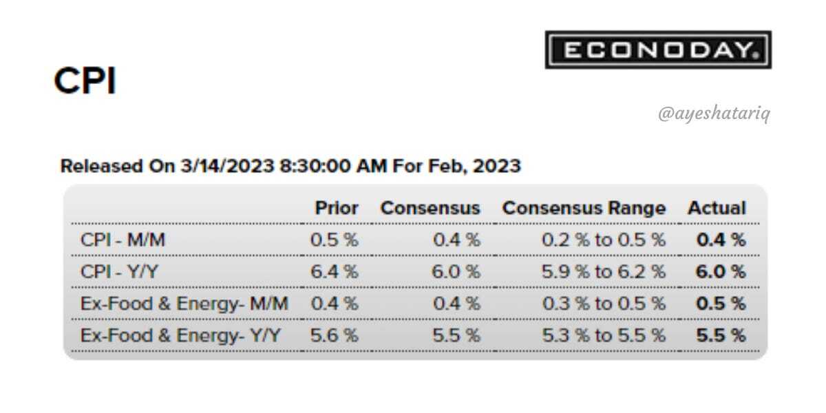 Brief CPI Feb 2023 Update