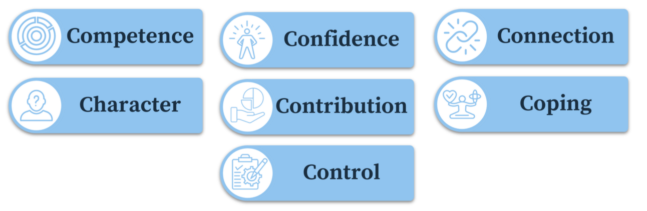The 7 C's of Resilience