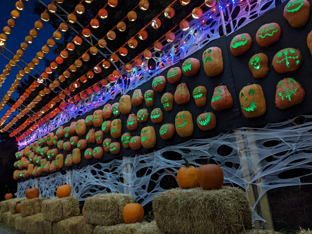 20 spooky events to check out in Calgary this Halloween season