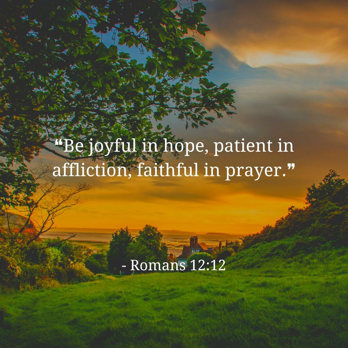 Verse of the Day: Romans 12:12
