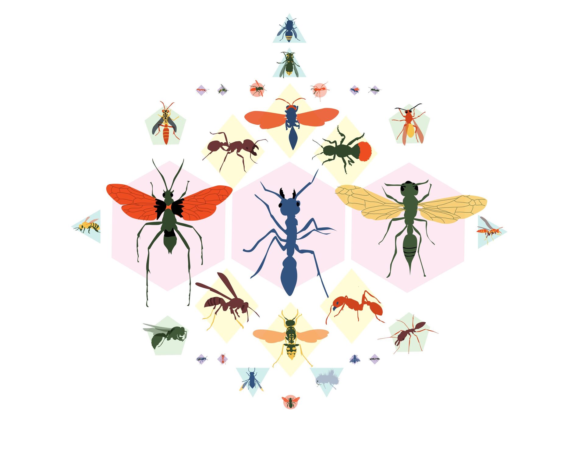 Ranking the Excruciating Pain of Stinging Insects