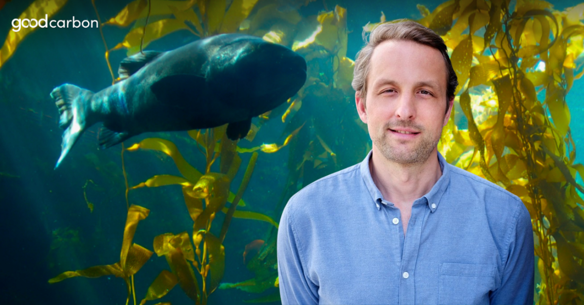 🔎 ClimateHack Vol 21: Carbon Credits x Climate