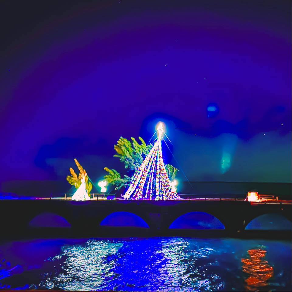 Meet Fred the Tree: The Florida Keys’ Most Famous Holiday Spirit 🎄