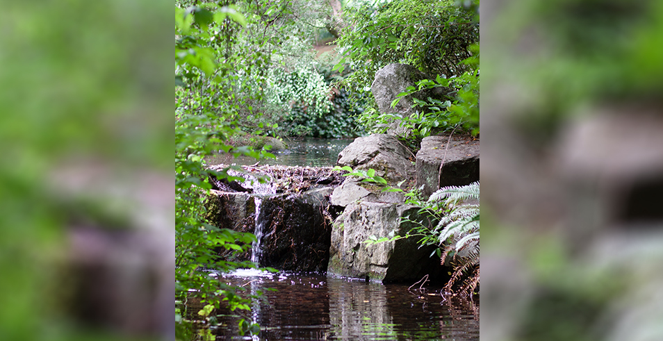 Tipperary Park, City Hall green space gets nearly $250,000 of funding