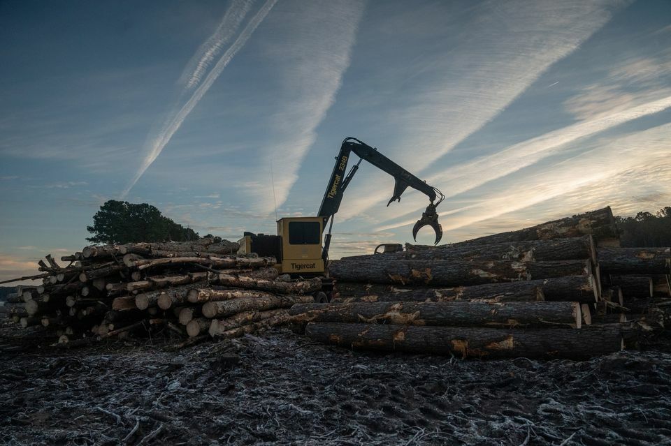 Cliff Buck’s logging businesses roll with the challenges of the times