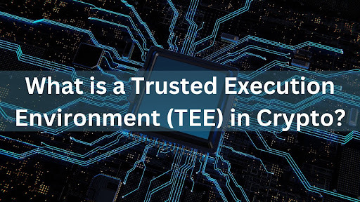 What is a Trusted Execution Environment (TEE) in Crypto? | Launchy ...