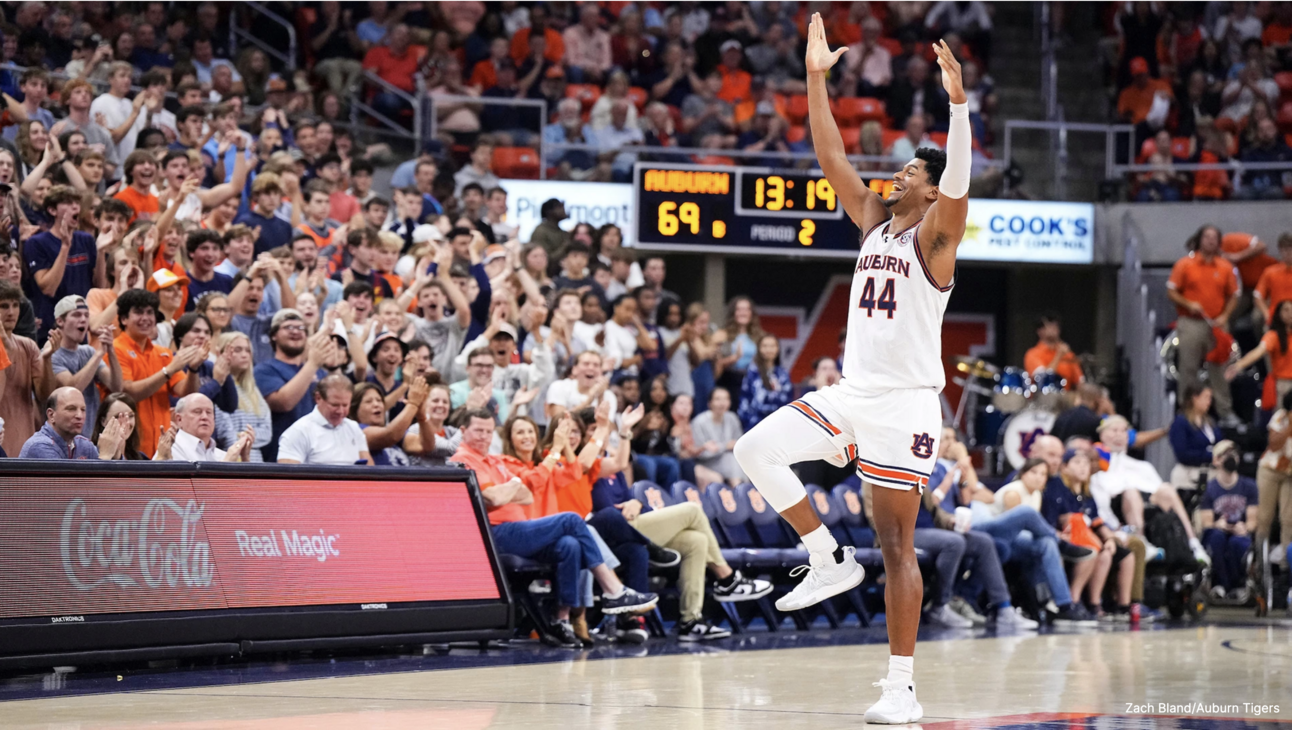 Bodda Getta Daily Brew 11/6: The Hype Room to the Jungle