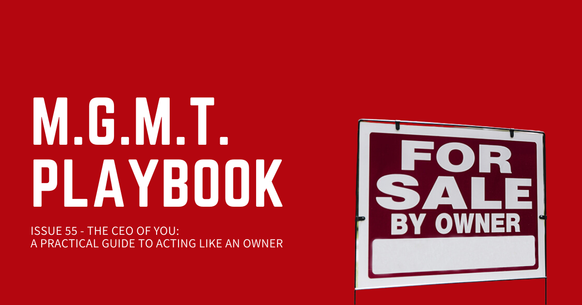 The CEO of You: A Practical Guide To Acting Like An Owner